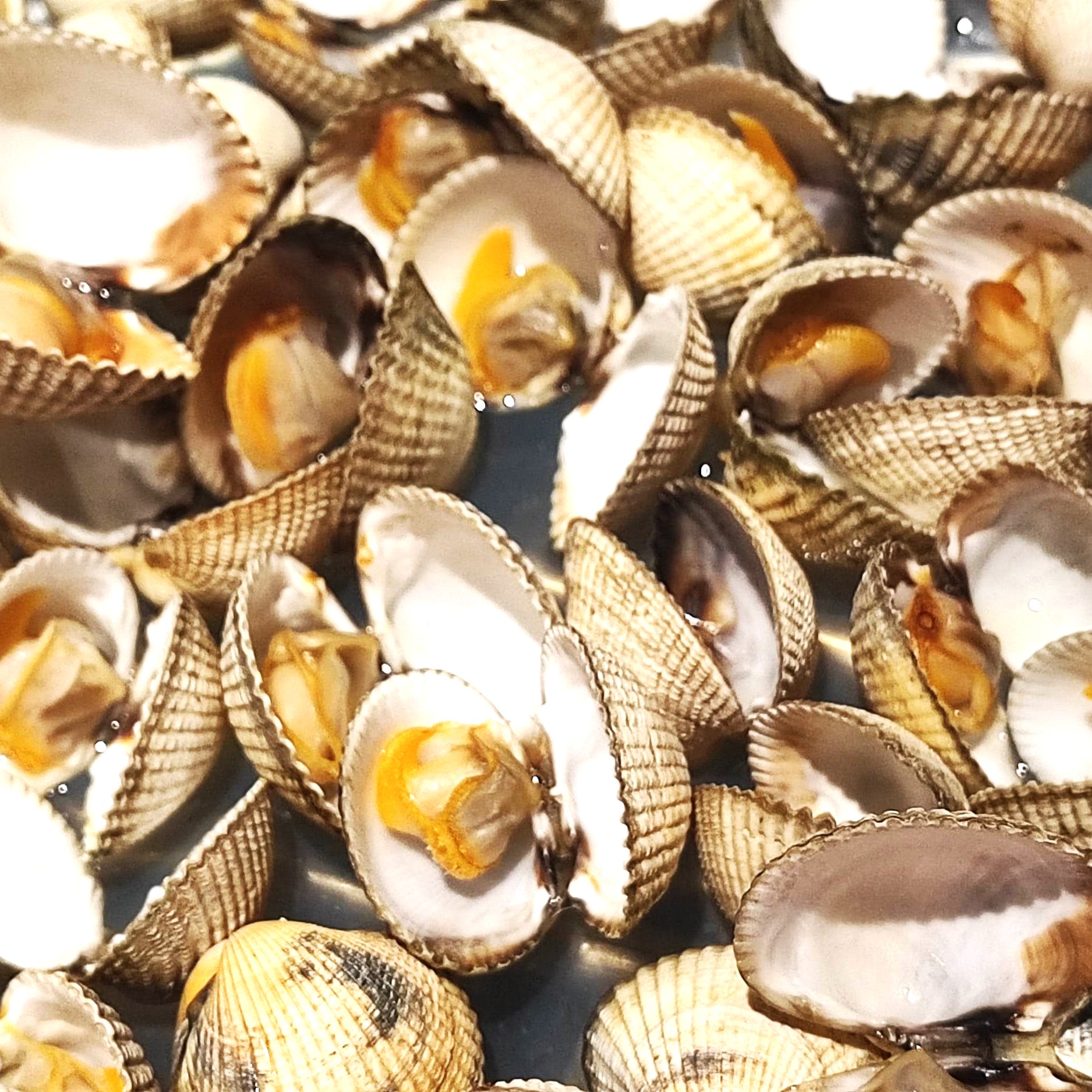 Coques au four - Les Food'Amour